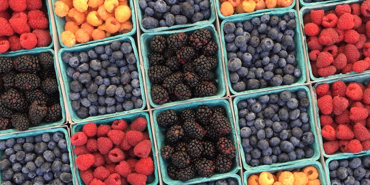 The Ultimate Guide to Finding a Restaurant Food Supplier | Woolco Foods